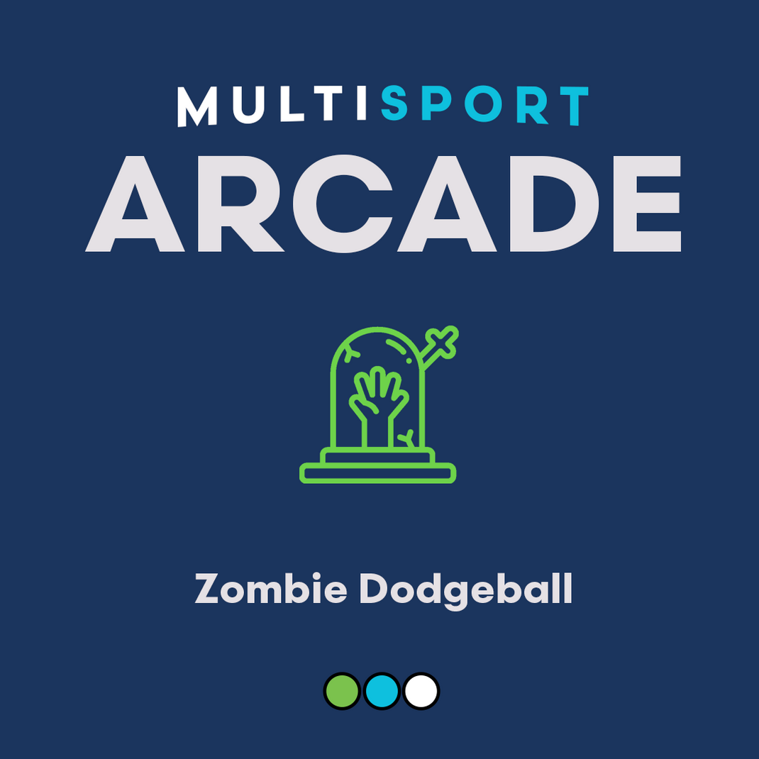 Multisport Simulator | Home Arcade & Sports Simulator | TruGolf